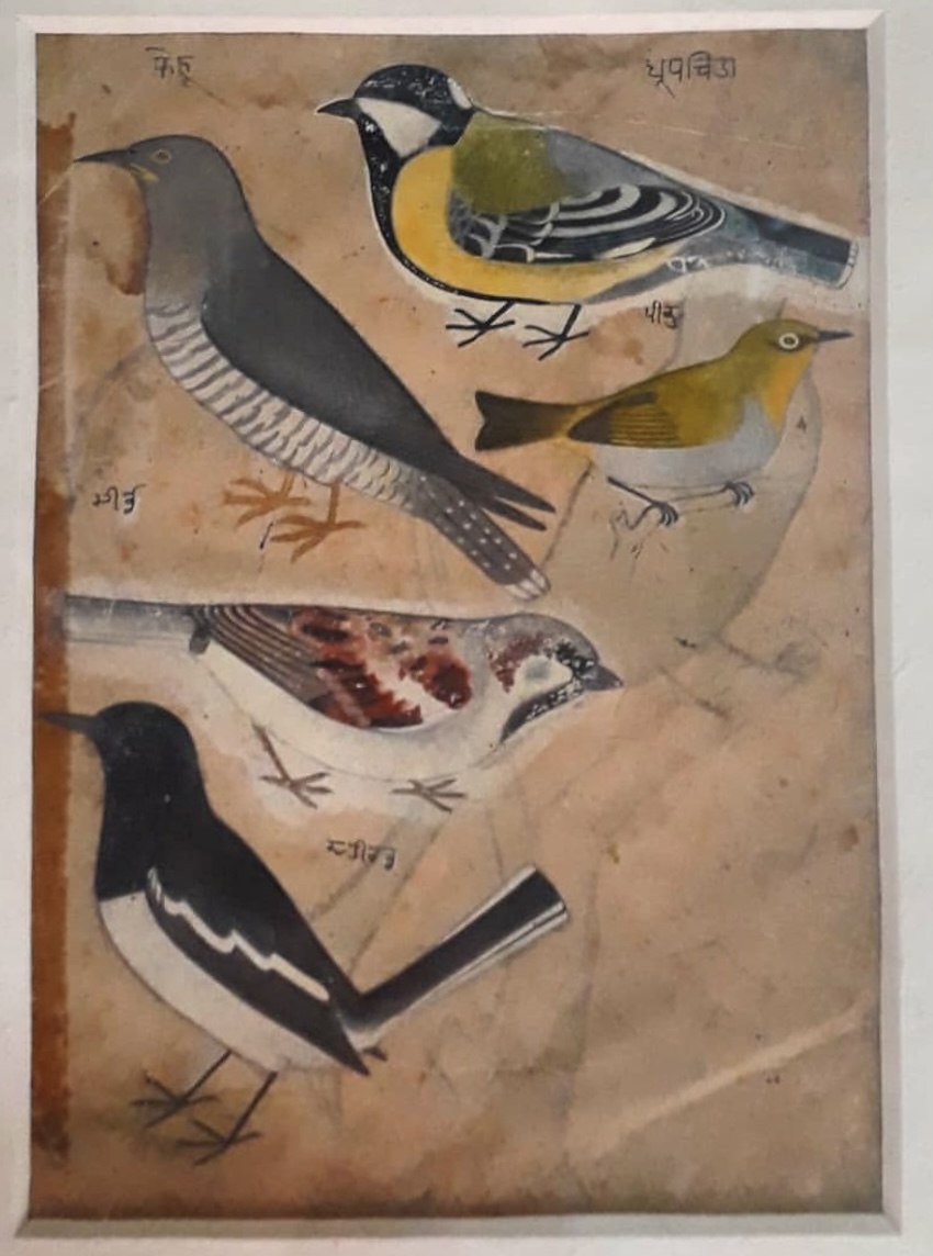 Tankri: The lost script of Pahadi languages – Himflavours